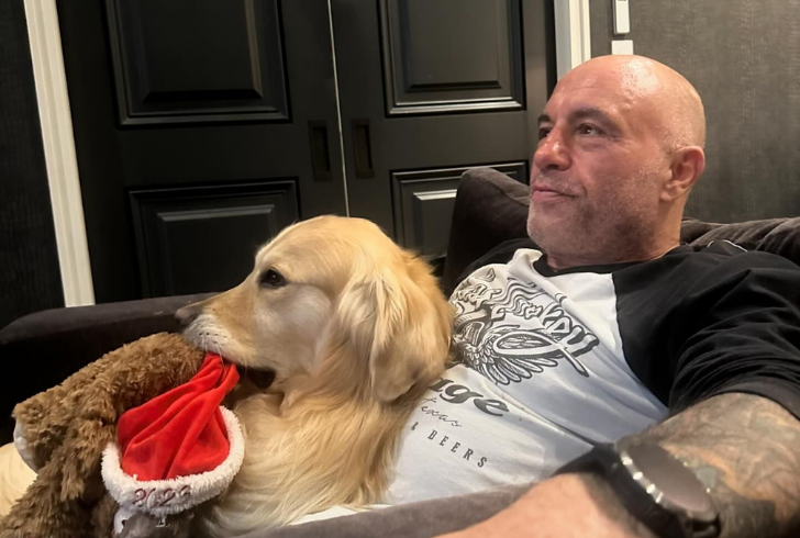 How Did Joe Rogan Get Famous? Tracing His Journey to Stardom – The ...